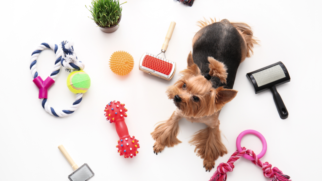 Choosing the Right Toys for Small Dogs: Fun and Safe Options - 3 Spoilt ...