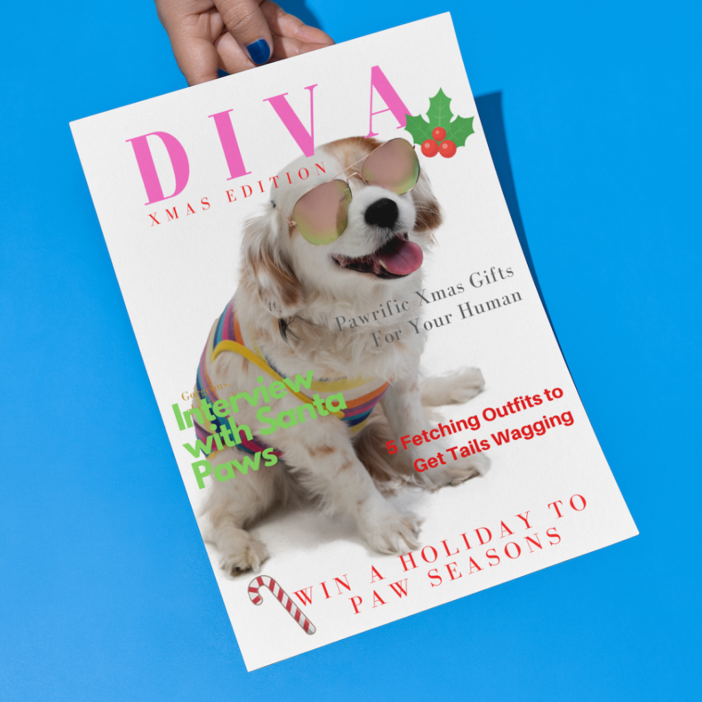 Custom Dog Magazine Covers - Printed - 3 Spoilt Dogs