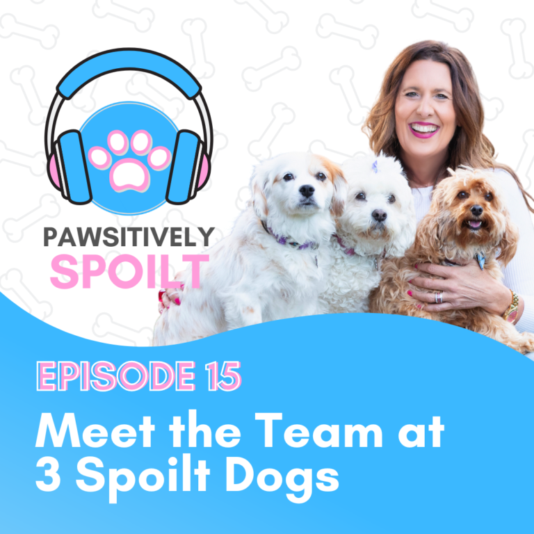 Pawsitively Spoilt Podcast - 3 Spoilt Dogs