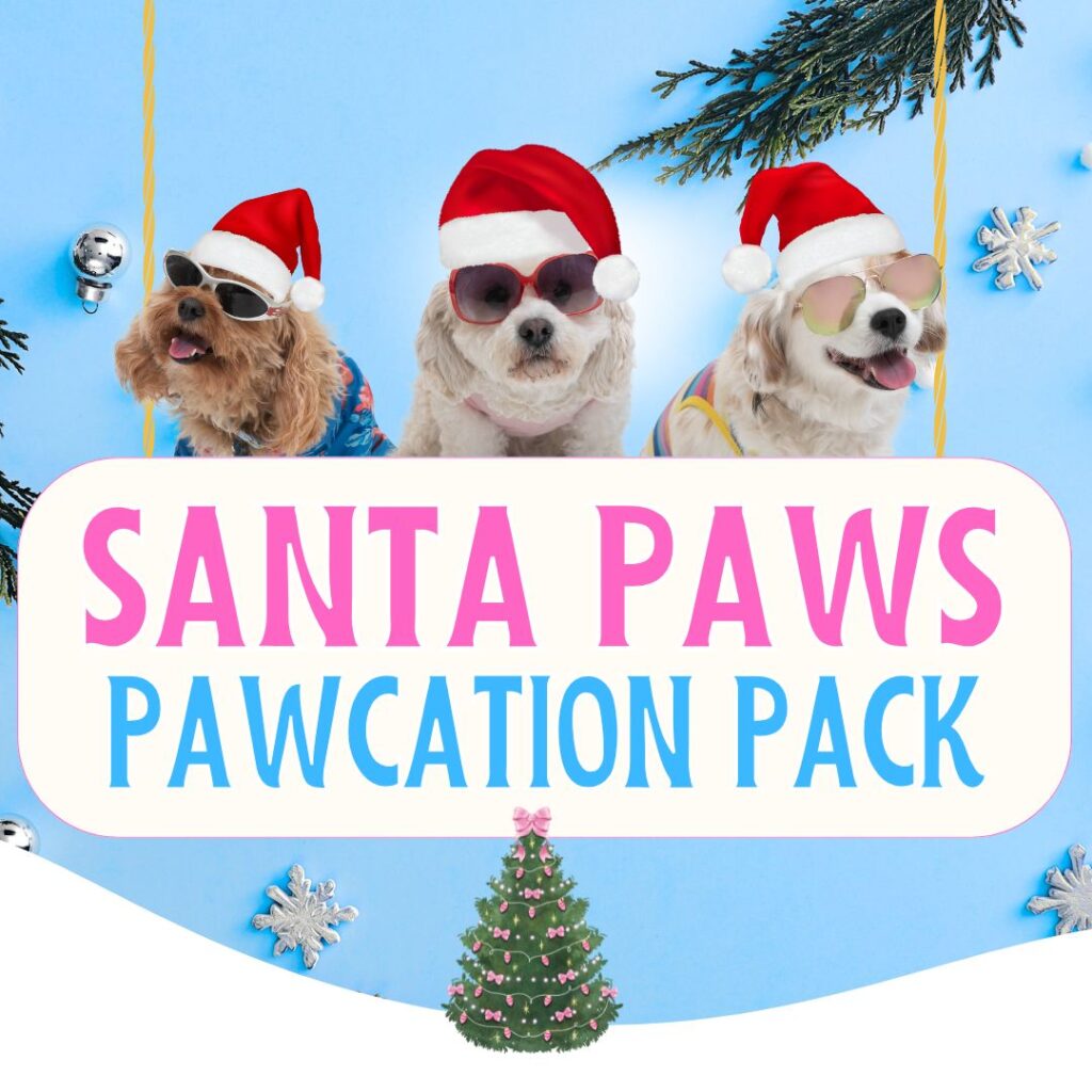 Santa Paws Pawcation Pack - 3 Spoilt Dogs